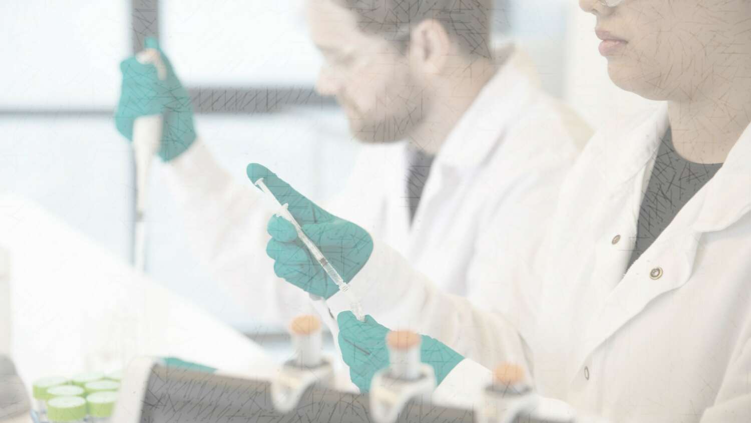 Method Development and Codex ML - NMKL